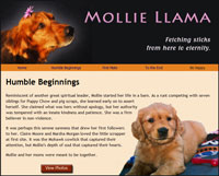 Tribute Web Design: Sample Tribute Websites